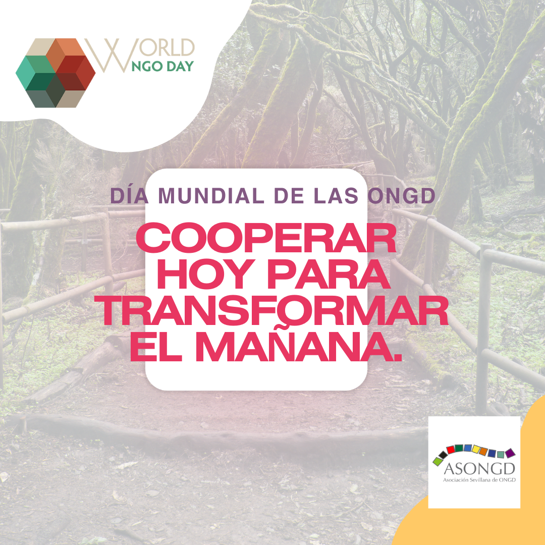 Día de las ONGD: La fuerza de la solidaridad en Sevilla - Asociación ...